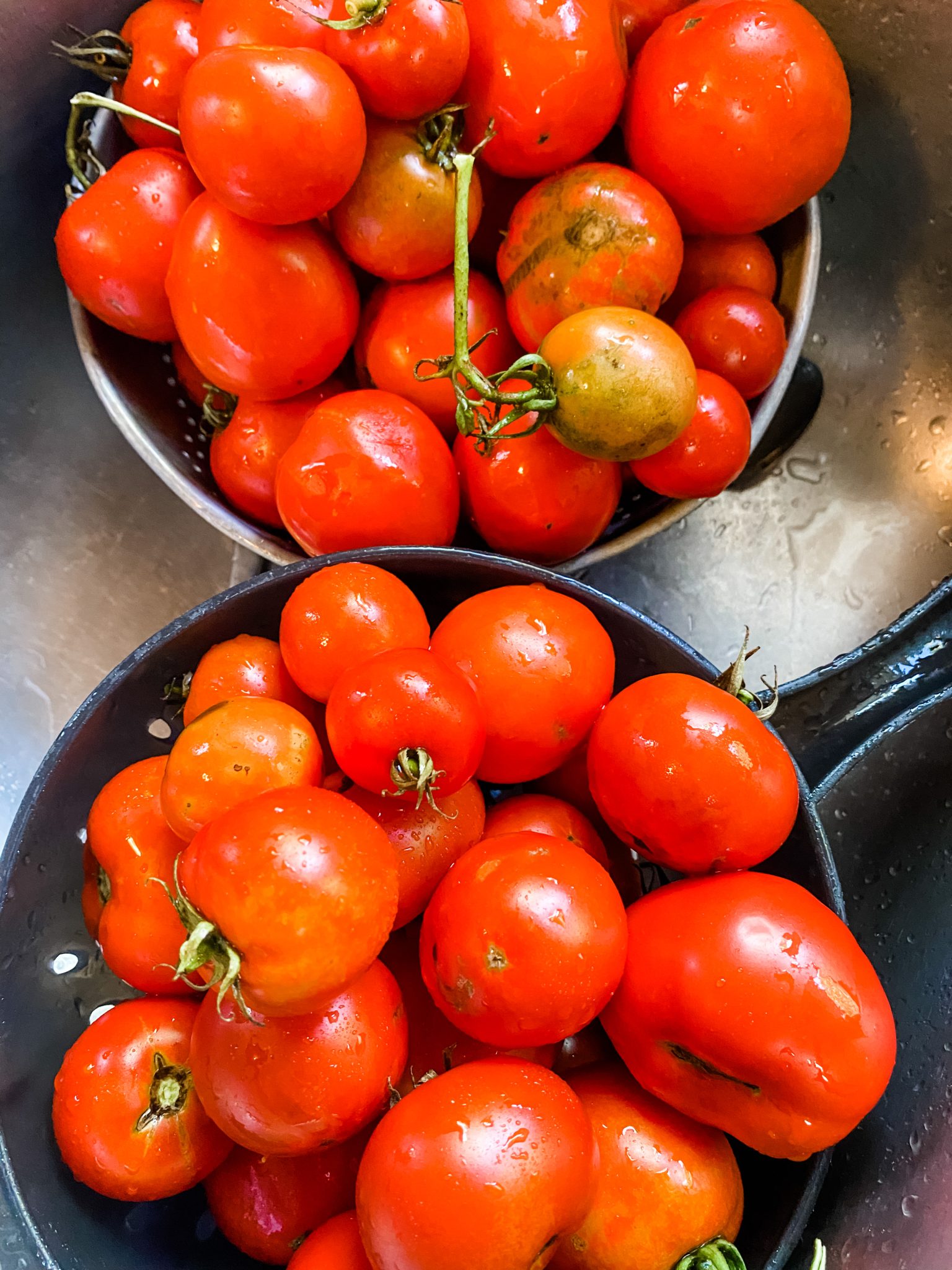 No Blanch Freezer Tomatoes - Simple Homestead Life