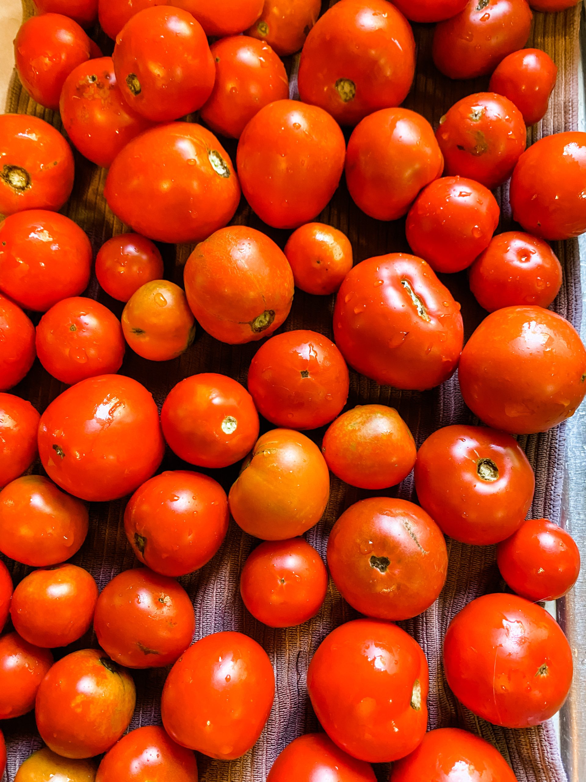 No Blanch Freezer Tomatoes - Simple Homestead Life